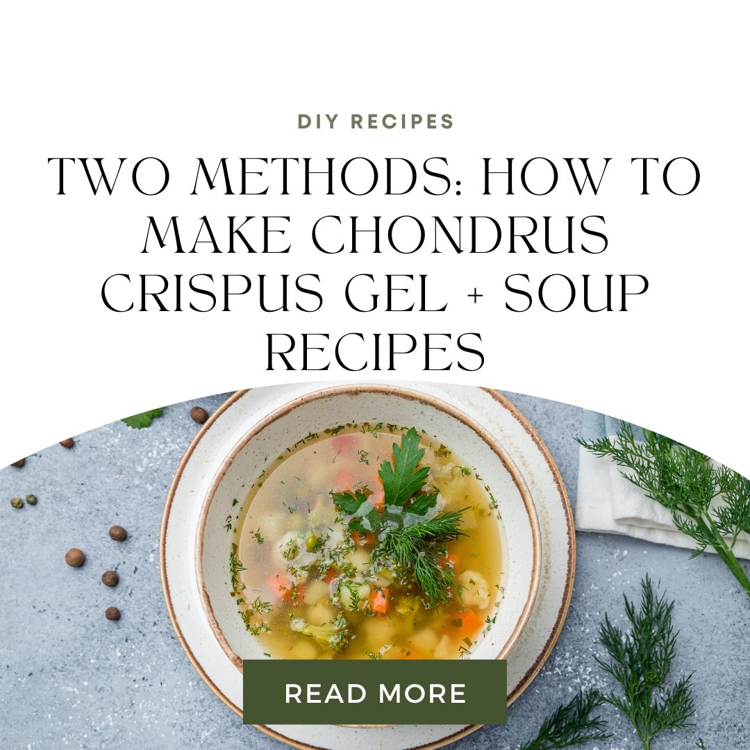 Two Methods: How to Make Chondrus Crispus Gel + Soup Recipes – Go ...